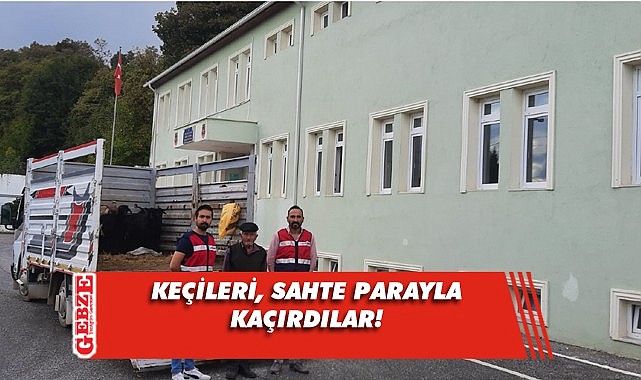 Sahte parayla keçi satın aldılar! - ASAYİŞ - Gebze Yenigün Sahte parayla keçi satın aldılar! - ASAYİŞ - Gebze Yenigün